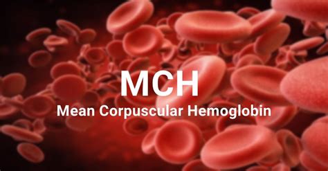 Mean Corpuscular Hemoglobin Mch Blood Test High And Low Levels