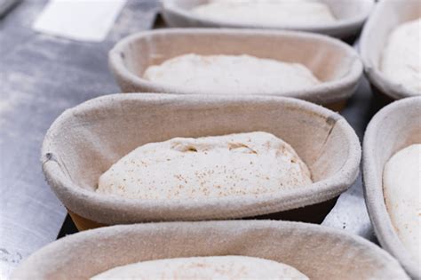 생 반죽 공으로 가득 찬 쟁반의 클로즈업 빵 굽기 위해 빵을 준비하고 근처에 아무도 없고 사람도 없습니다 0명에 대한 스톡 사진