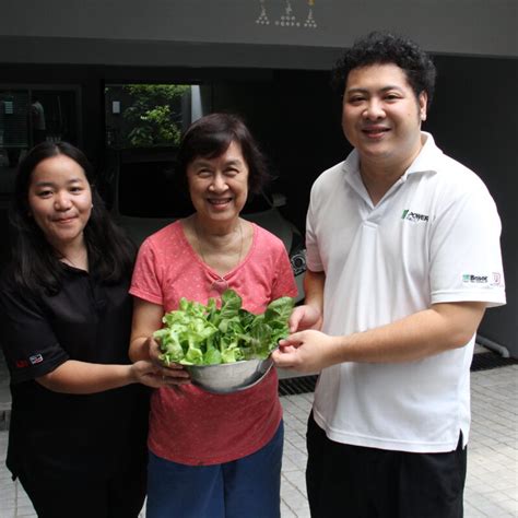 Csr Powervault Solar รับติดตั้งระบบผลิตไฟฟ้าด้วยพลังงานแสงอาทิตย์