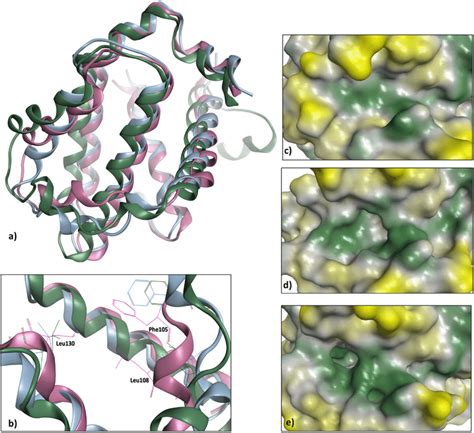 The Protein Binding Interface Of Three Bcl Xl Crystal Structures Download Scientific Diagram