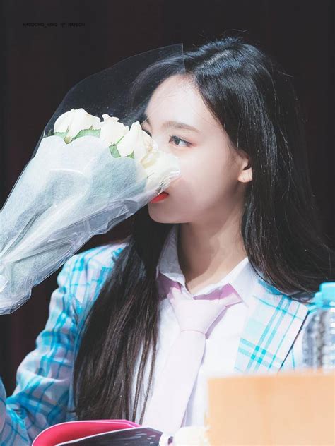 누가 나연이고 뭐가 꽃이지 인스티즈 Instiz 이슈 카테고리