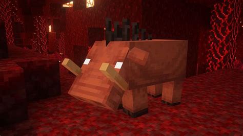 Minecraft Hoglin Guide Spawning Behavior And Drops