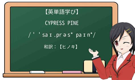 【英単語】cypress Pineを徹底解説！意味、使い方、例文、読み方