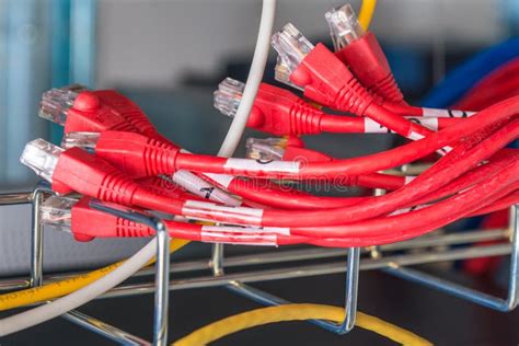 Red Ethernet Cables Connected To Switch Stock Image Image Of Plug Business 244529135