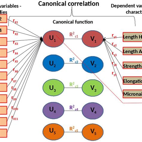 Canonical Correlation Analysis Maximizes The Correlation Between The