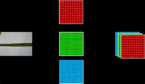 Input Image B Convolutional Layer In The Convolution Layer The Samples Download Scientific