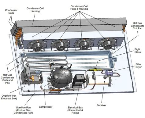 Structural Concepts Ghss1252rlb6796f Fusion High Volume Self Service