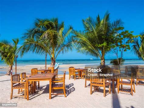 맑고 푸른 하늘을 배경으로 해변에서 야자수가 배열한 의자와 테이블 0명에 대한 스톡 사진 및 기타 이미지 0명 가구 그림자 Istock