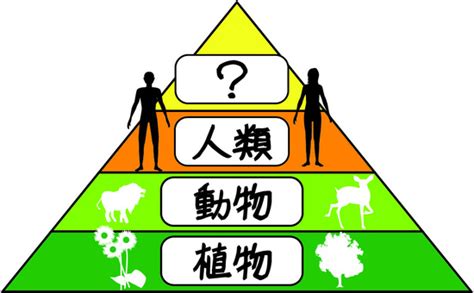 食物連鎖イラスト無料イラスト フリー素材ならイラストAC