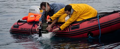 Profiling Floats Oao Oceanographic Autonomous Observations