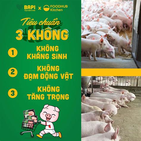 Tiêu Chuẩn Ba Không Trong Thức Ăn Của Thịt Heo Ăn Chuối Bapi Là Gì FoodHub Thực phẩm sơ chế