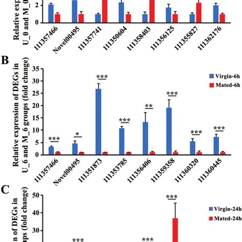 the transcriptome validation for degs by quantitative real time pcr