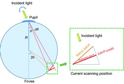 Geometric Model For Radial Distortion Correction The Axial Length Of Download Scientific