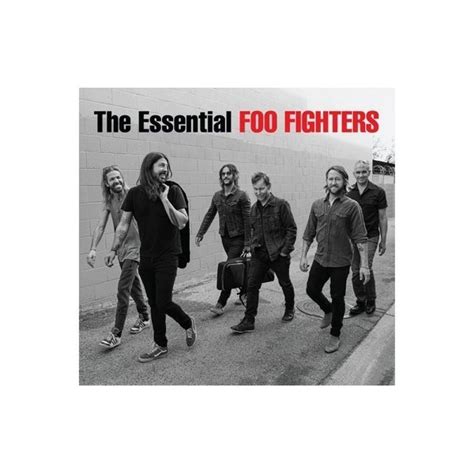 Foo Fighters The Essential Foo Fighters 2 Lp
