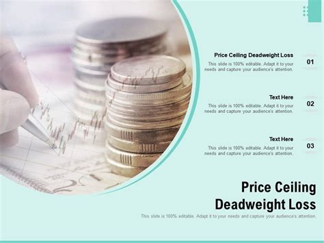 Price Ceiling Deadweight Loss Ppt Powerpoint Presentation File