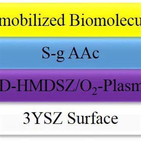 Schematic Of A Substrate After Surface Modification Download Scientific Diagram