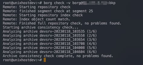 Borg Backup подробное руководство Unixhost Blog