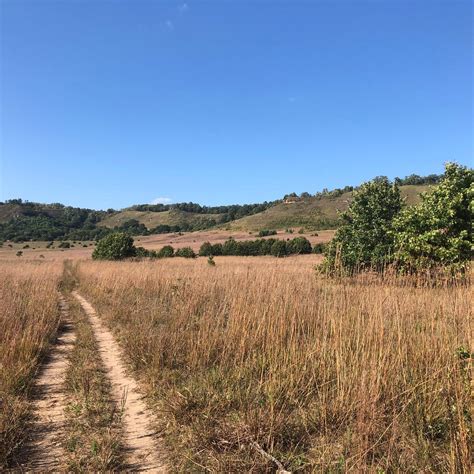Spring Green Preserve All You Should Know Before Going 2026 With