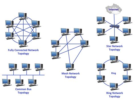Network Topologies 8th Grade Quiz Wayground