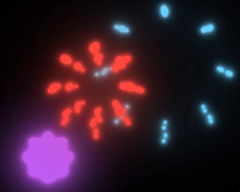 How To Implement Camera In A Swift Way By Mijick Medium