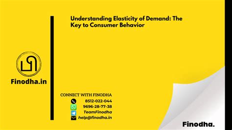 Understanding Elasticity Of Demand The Key To Consumer Behavior 2024