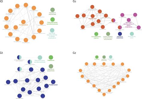 Frontiers Uplc Esi Msms Based Widely Targeted Metabolomics Reveals