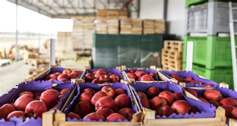 The Fda Has Announced That Fsma Section 204 Compliance Has Been Delayed Sdg Systems