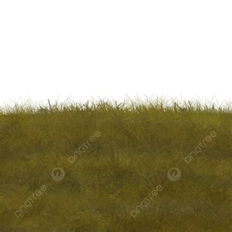 Wildgrass Texture For Background Wildgrass Background Grass Png