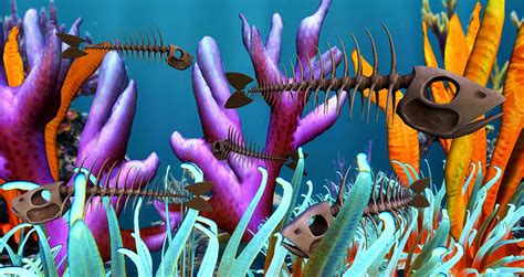 Only Dead Fish Go With The Flow By Kakebroek On Deviantart