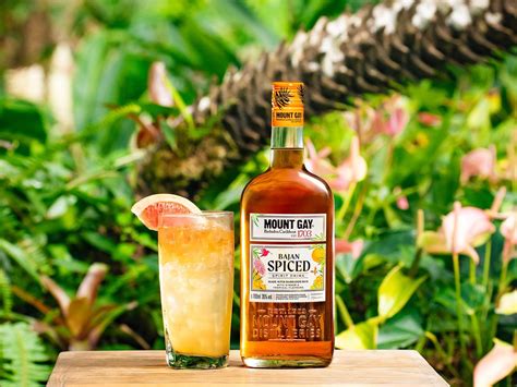 Mount Gay Rum Spicednstormy