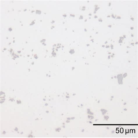 Binarized Views Of The Optical Micrographs Shown In Fig 8b The