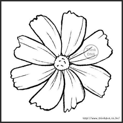 아동미술 코스모스 그리기 가을꽃 코스모스 네이버 블로그