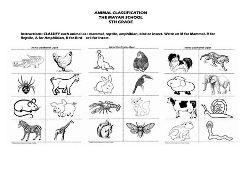 466939 Animal Classfication Gloria Díaz 466939 Animal Classfication Gloria Díaz