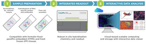 Choosing Single Cell And Spatial Analysis Technologies