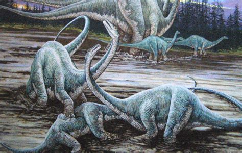 Diplodocus