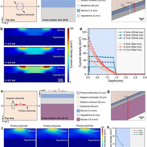 The Simulation Models For Electrotactile A Schematic Diagram Of The