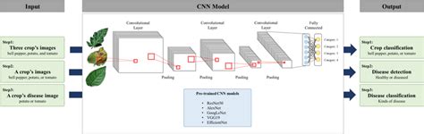 Diagram Of Disease Detection Model Using Cnn Model Download Scientific Diagram