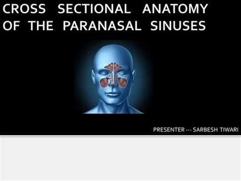 All About Uncinate Process Of Nose And Paranasal Sinuses Pptx