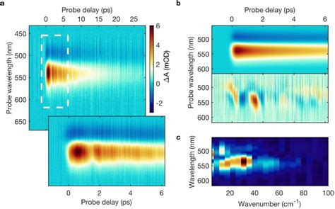 Figure 2 From Vibrational Excitation Initiates Biomimetic Charge Coupled Motions In The