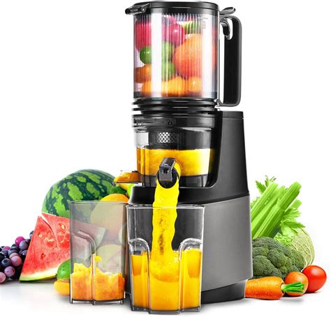 Catlyn Cold Press Juicer Whole Juicer Juicer Machines
