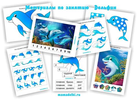 Тематическое занятие Дельфин Дельфины Для детей Млекопитающие