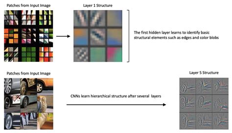 Understanding Convolutional Neural Networks Cnns