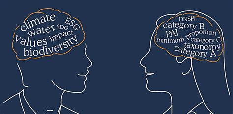 Mifid Ii Questionnaire For Assessing Client Sustainability Preferences Lsfi