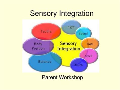 Ppt Sensory Integration Powerpoint Presentation Free Download Id 3967219