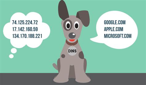 Setup Any Dns Cname Mx A Txt Records By Shpitz Fiverr