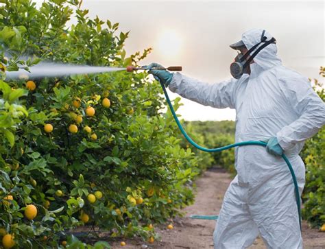 Liver Function Tests Cabot Health