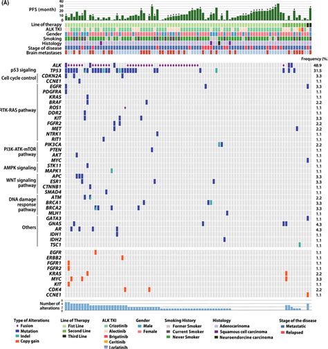 The Landscape Of Somatic Alterations In Cfdna‐ngs In Alk Positive