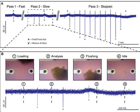 Fig S6 A A Spontaneously Beating Ipsc Cm Cluster Is Passed Over Download Scientific