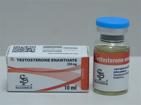 Testosterone Enanthate 250mg 10ml Maximus Steryd W Zastrzyku Sklep