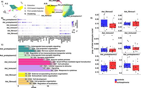 Identification And Characterization Of Six Astrocyte Sub Populations A Download Scientific